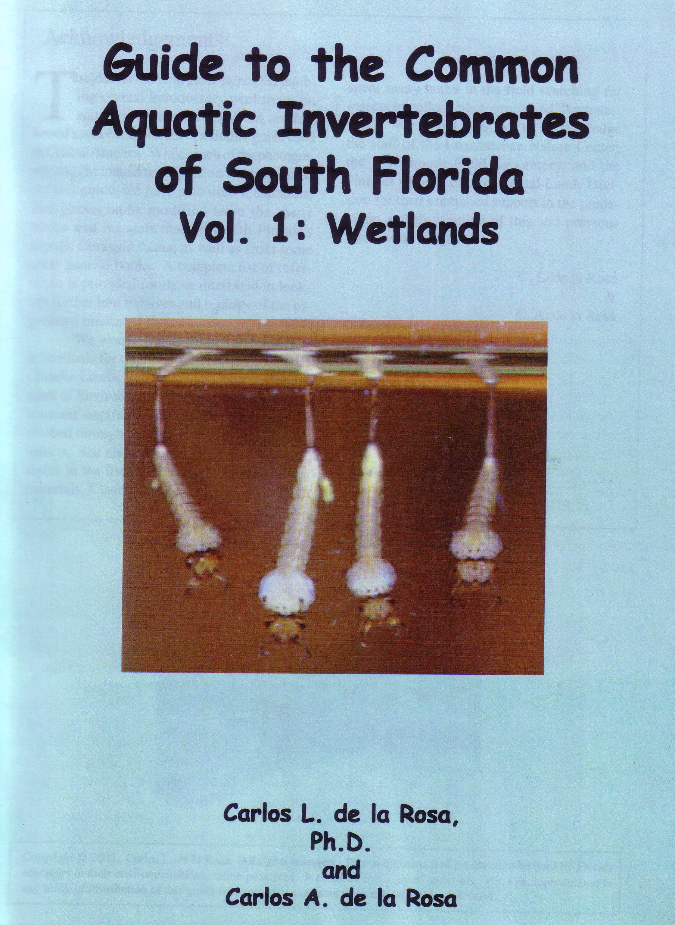 Guide to the Common Aquatic Invertebrates of South Florida | Carlos de ...